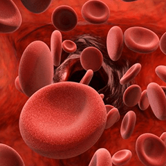 Rice Facts – ecoBrown's